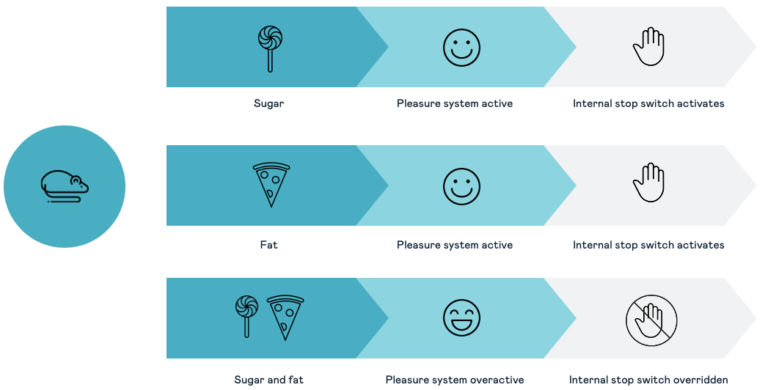 Can’t stop eating junk food? Here’s why | Weight loss tips