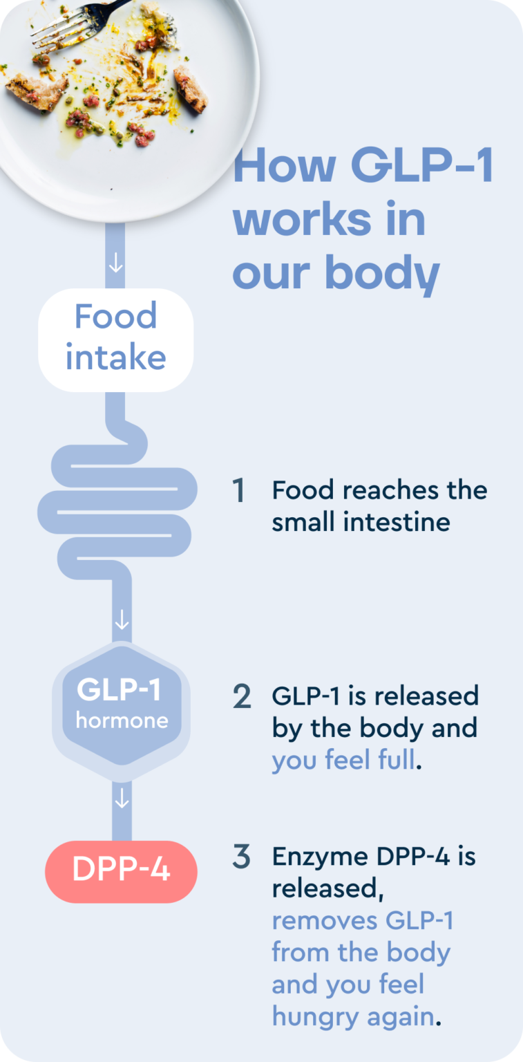 GLP-1 receptor agonists | How Wegovy, Ozempic, and Mounjaro work
